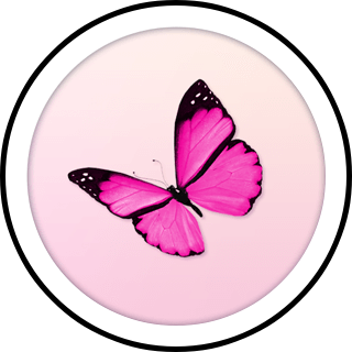 butterfly | Search Snapchat Filters and Lenses