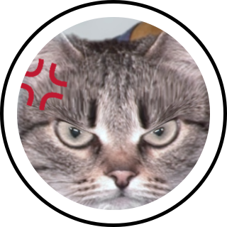 matt | Search Snapchat Filters and Lenses