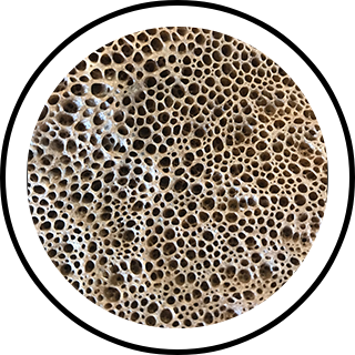 trypophobia | Search Snapchat Creators, Filters and Lenses