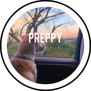 preppy | Search Snapchat Creators, Filters and Lenses
