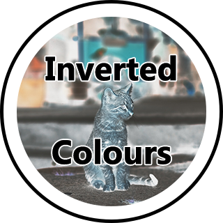 inverted | Search Snapchat Creators, Filters and Lenses