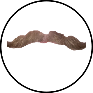 parker | Search Snapchat Creators, Filters and Lenses