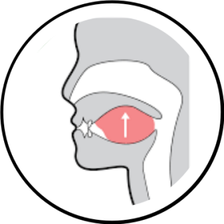 mewing | Search Snapchat Creators, Filters and Lenses