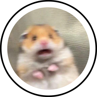 hamster | Search Snapchat Creators, Filters and Lenses