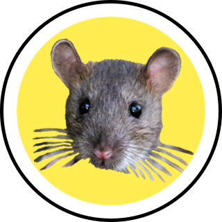 john | Search Snapchat Creators, Filters and Lenses