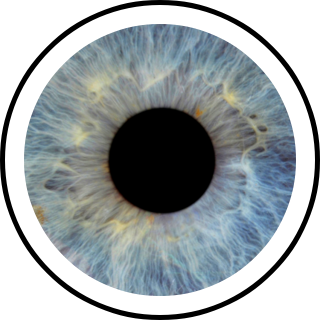 blue iris | Search Snapchat Creators, Filters and Lenses