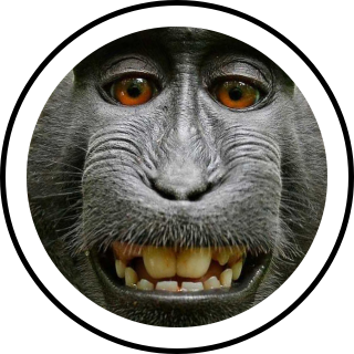 bana | Search Snapchat Filters and Lenses