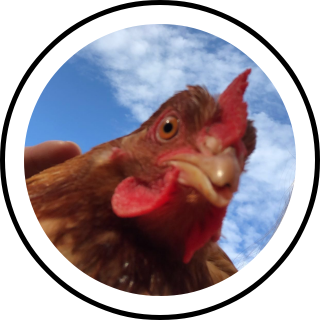 eddie | Search Snapchat Creators, Filters and Lenses