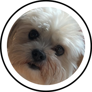 dizzy | Search Snapchat Creators, Filters and Lenses