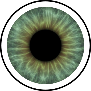 olivia | Search Snapchat Creators, Filters and Lenses