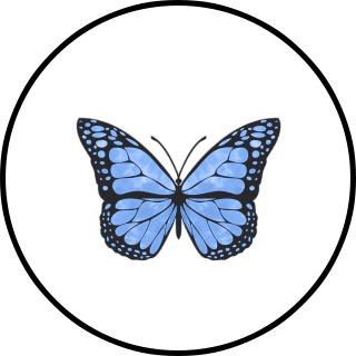 butterfly | Search Snapchat Creators, Filters and Lenses