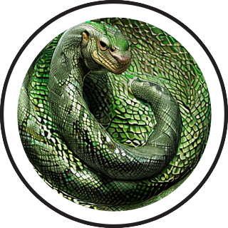 videos | Search Snapchat Creators, Filters and Lenses