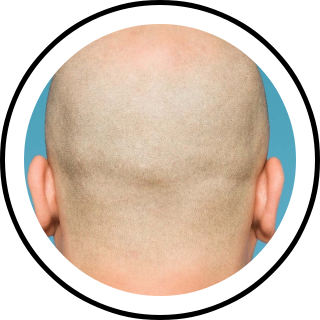 bear | Search Snapchat Filters and Lenses