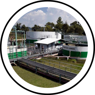 ptar | Search Snapchat Creators, Filters and Lenses