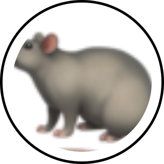 riley | Search Snapchat Creators, Filters and Lenses