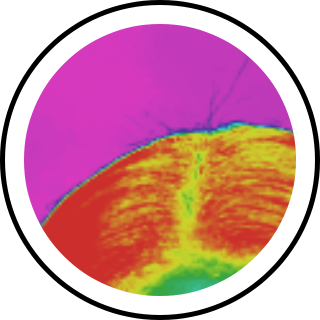 isaac | Search Snapchat Creators, Filters and Lenses