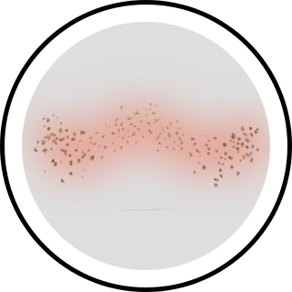 cedra | Search Snapchat Creators, Filters and Lenses