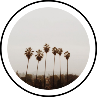 mason | Search Snapchat Filters and Lenses