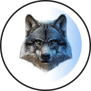 wolf | Search Snapchat Creators, Filters and Lenses
