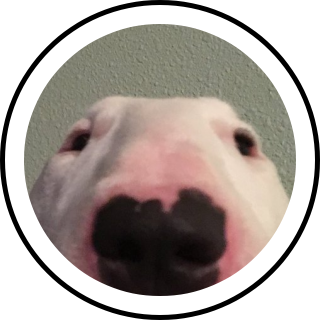 brandon | Search Snapchat Creators, Filters and Lenses