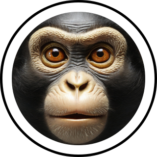 monkey | Search Snapchat Creators, Filters and Lenses
