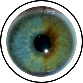 justice | Search Snapchat Filters and Lenses