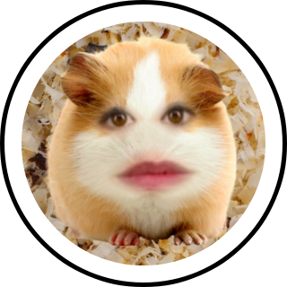 hamster | Search Snapchat Creators, Filters and Lenses