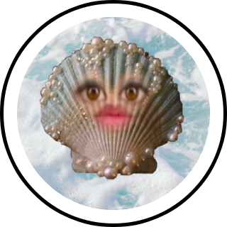 shell | Search Snapchat Creators, Filters and Lenses