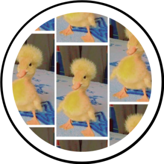 dump | Search Snapchat Creators, Filters and Lenses