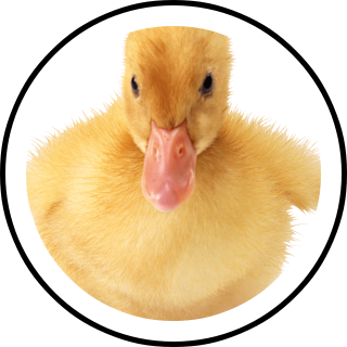 ashton | Search Snapchat Creators, Filters and Lenses