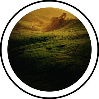 spotlight | Search Snapchat Creators, Filters and Lenses