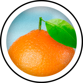 beach | Search Snapchat Filters and Lenses