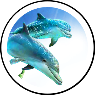 melissa | Search Snapchat Creators, Filters and Lenses