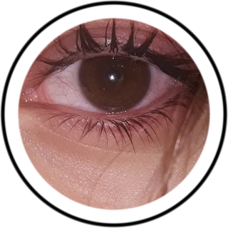 crying filter | Search Snapchat Creators, Filters and Lenses