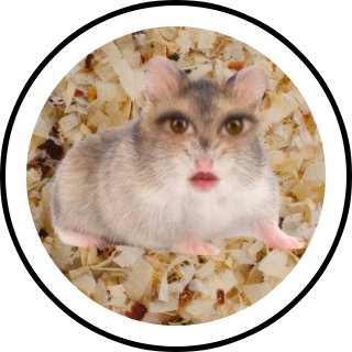 hamster | Search Snapchat Creators, Filters and Lenses