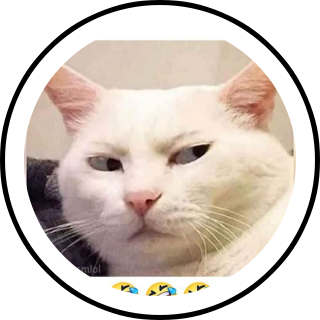 {{{memes | Search Snapchat Creators, Filters and Lenses