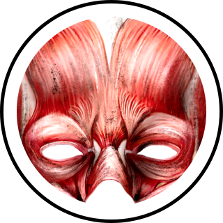 muscle | Search Snapchat Creators, Filters and Lenses