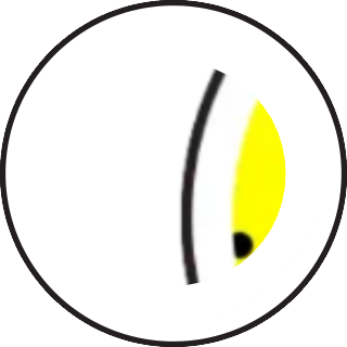 color match | Search Snapchat Creators, Filters and Lenses