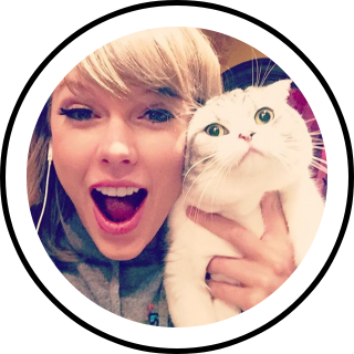 brandon | Search Snapchat Creators, Filters and Lenses