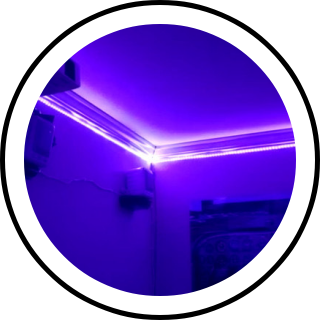 viola | Search Snapchat Filters and Lenses