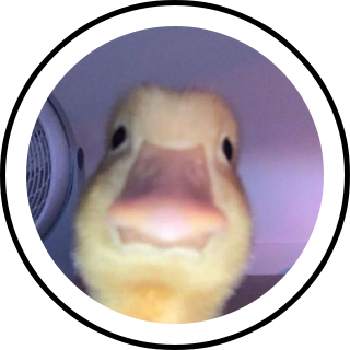 patrick | Search Snapchat Filters and Lenses