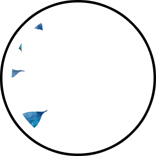 ghjkl | Search Snapchat Creators, Filters and Lenses