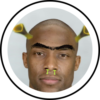 shrek | Search Snapchat Creators, Filters and Lenses