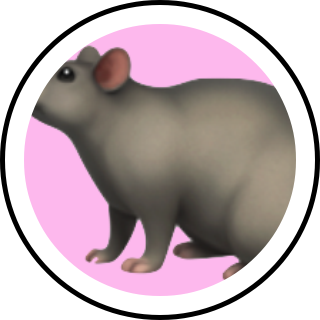 king | Search Snapchat Creators, Filters and Lenses