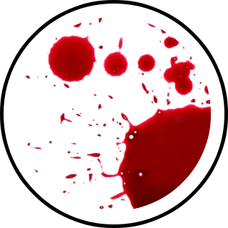 divya | Search Snapchat Creators, Filters and Lenses