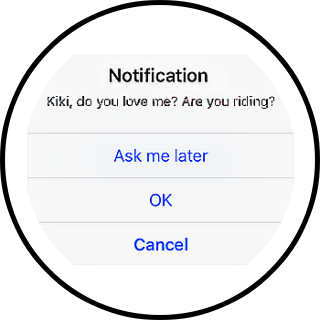 notif | Search Snapchat Filters and Lenses