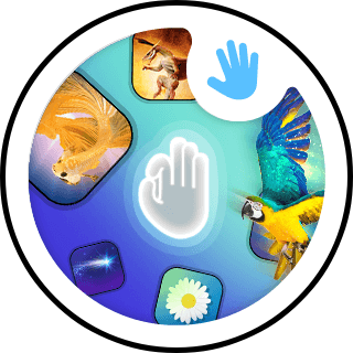 language | Search Snapchat Filters and Lenses