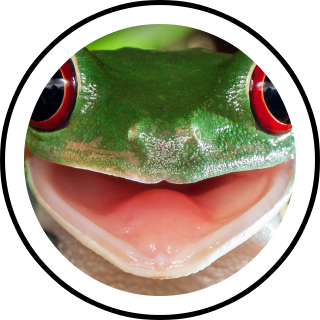 pierce | Search Snapchat Creators, Filters and Lenses