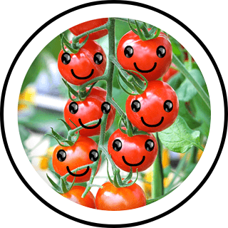 tom | Search Snapchat Filters and Lenses