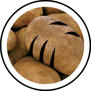 king | Search Snapchat Filters and Lenses